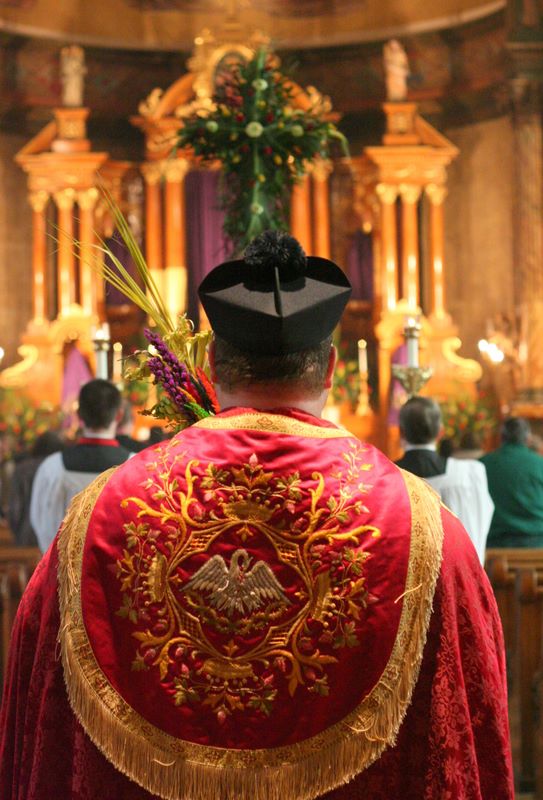 New Liturgical Movement: Palm Sunday in the United States