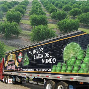 Diálogo con la Realidad desde las Matemáticas: EL MEJOR LIMON DEL MUNDO