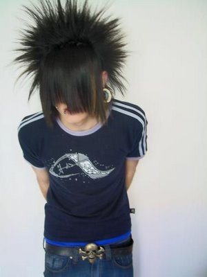 Fashion Hairstyles: Boys Emo Hairstyle Photo Gallery
