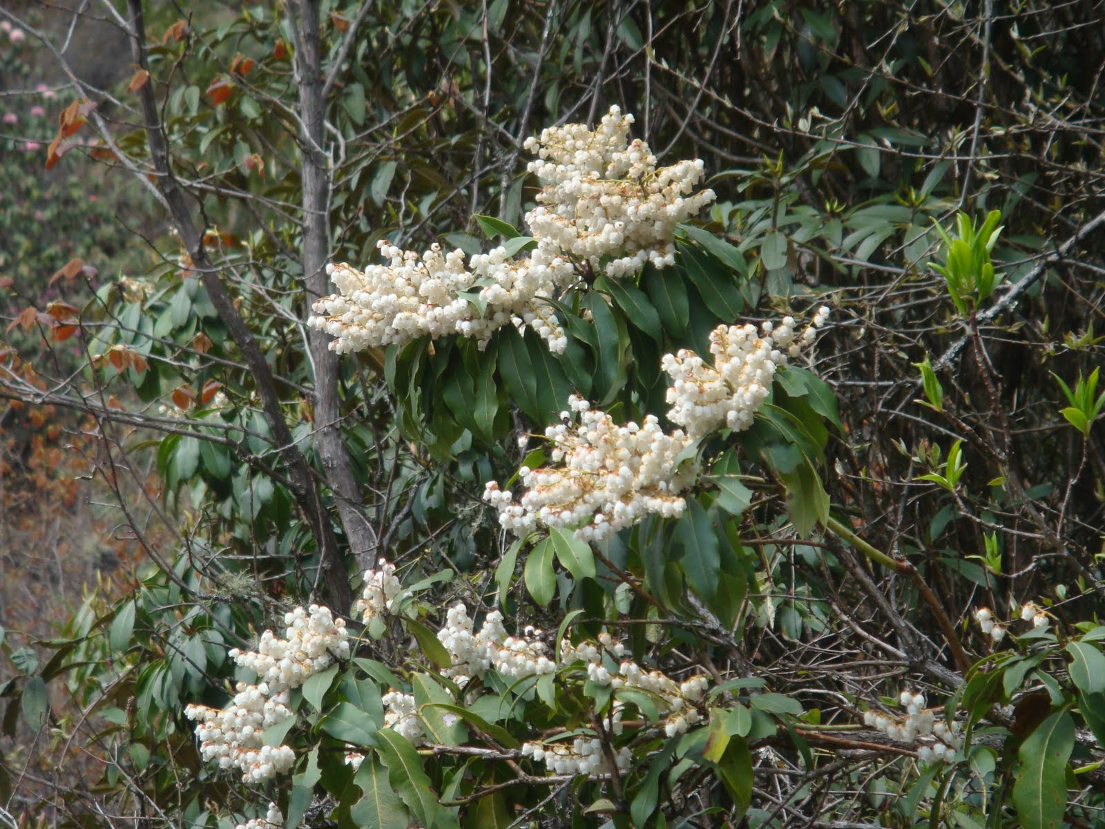 A Protest of Romance: July 2011