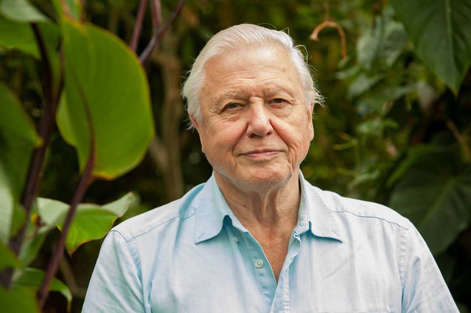 Geração Verde Portugal: Parabéns Sir David Attenborough