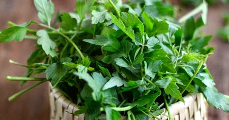 Mudakathan Keerai Dosai Recipe-Dosa Recipes | Padhuskitchen