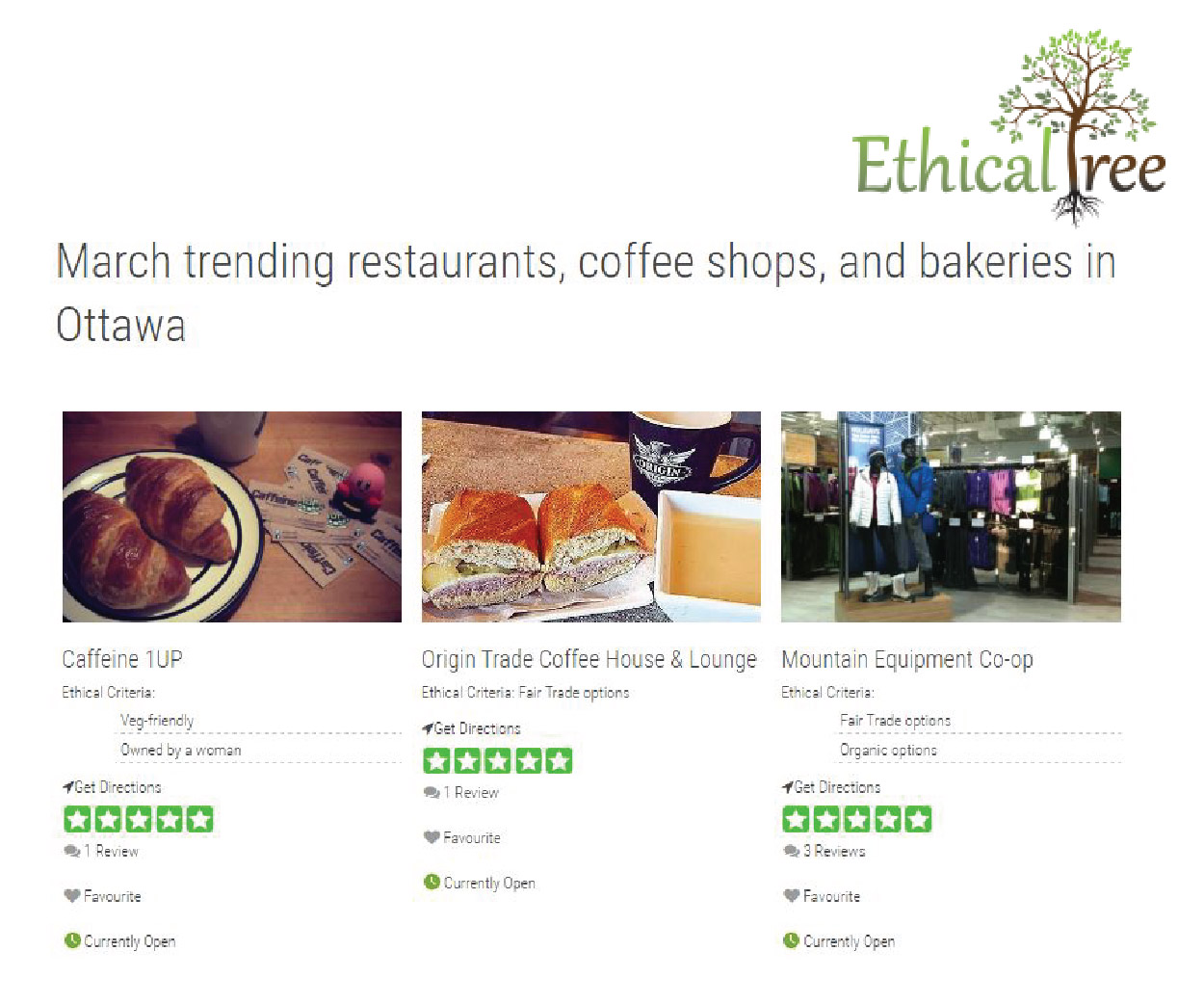 Impact's Impact: Sustainability For Everyone - The Sustainabilitree