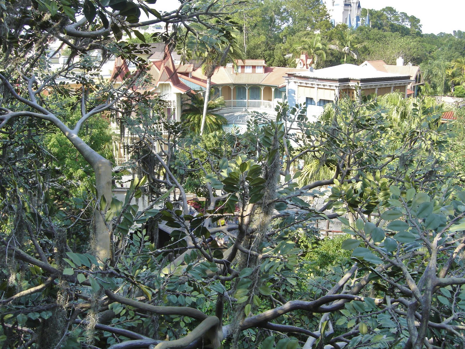 Disney Vacation Kingdom: Swiss Family Robinson Treehouse