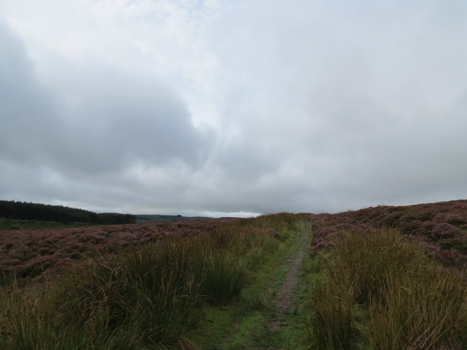 Camping Adventures: Return to Hafod Hall - Llyn Brenig Awaits!