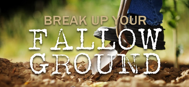 EP | Prayerline: Breaking the 'Fallow Ground'