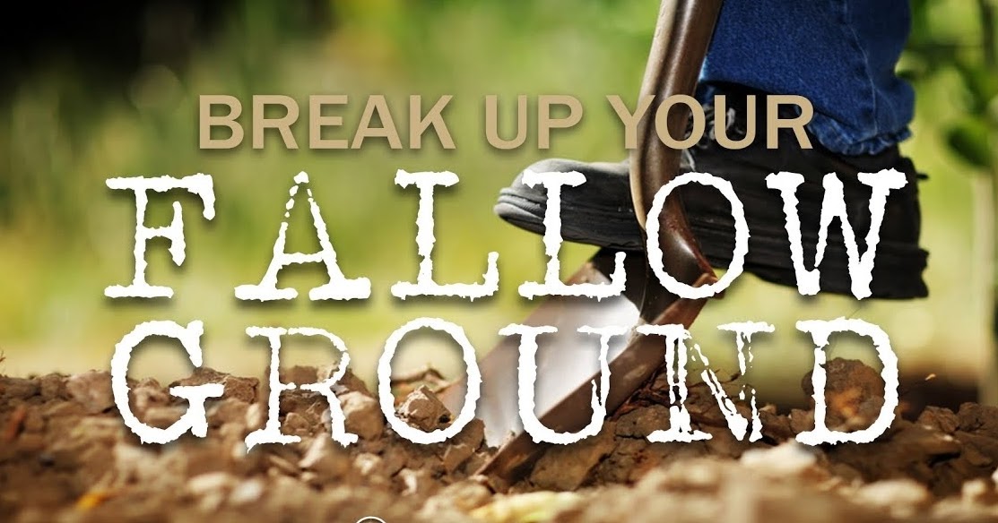 EP | Prayerline: Breaking the 'Fallow Ground'
