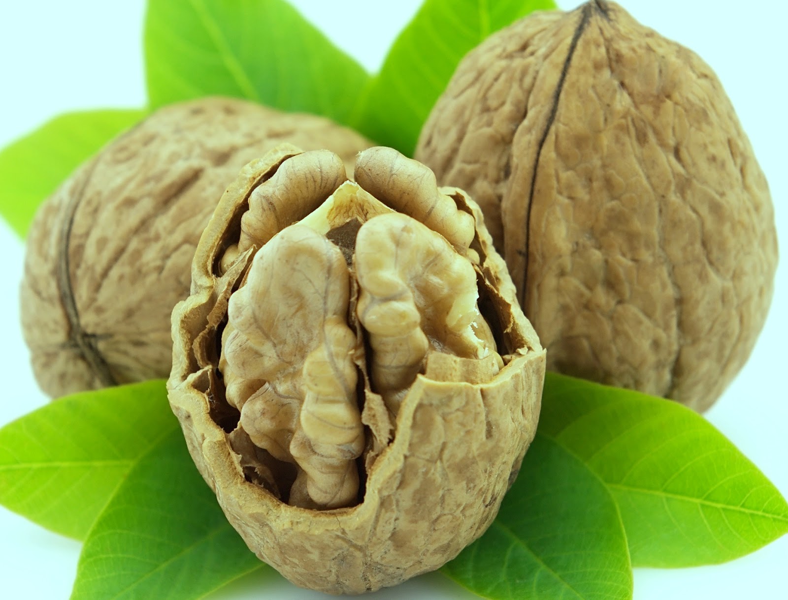 Nucile in superstitii, legende, simboluri - diane.ro