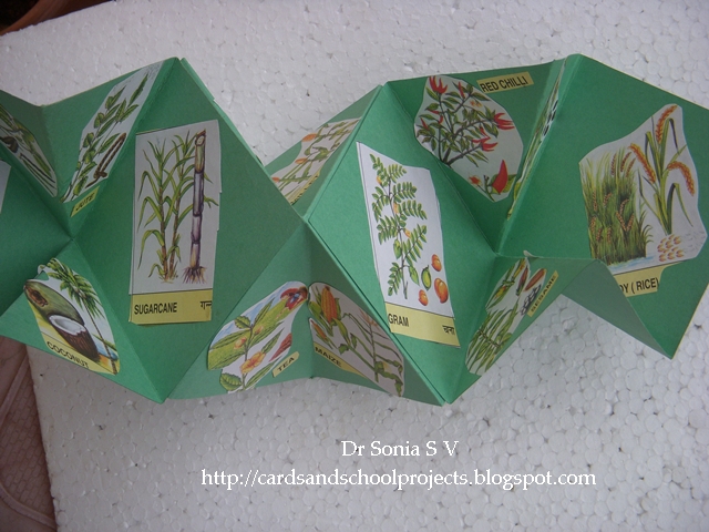 Cards ,Crafts ,Kids Projects: Squash Book Tutorial