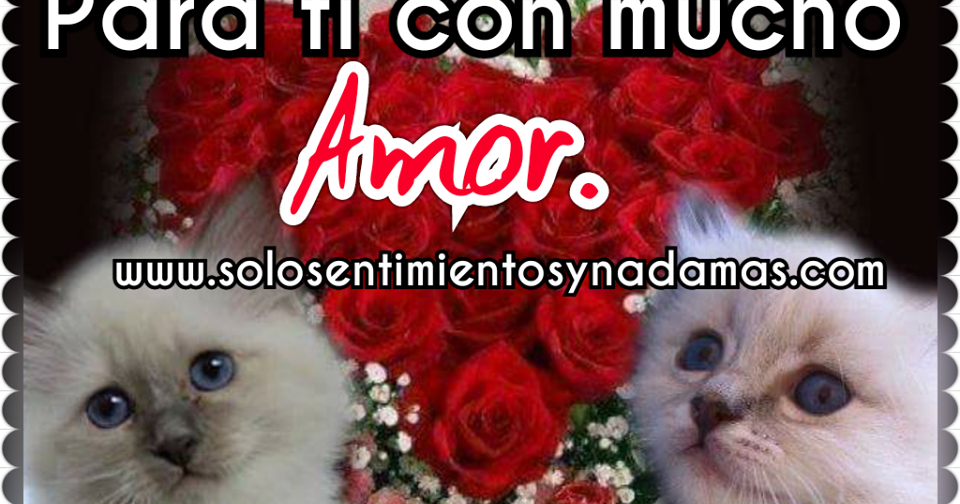 Para ti con mucho amor. - Solo sentimientos y nada mas