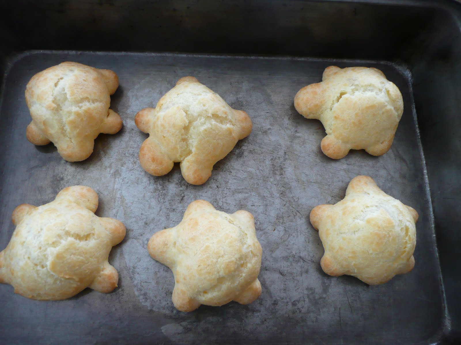 KuKuKawaii: Totoro & turtle cream puffs