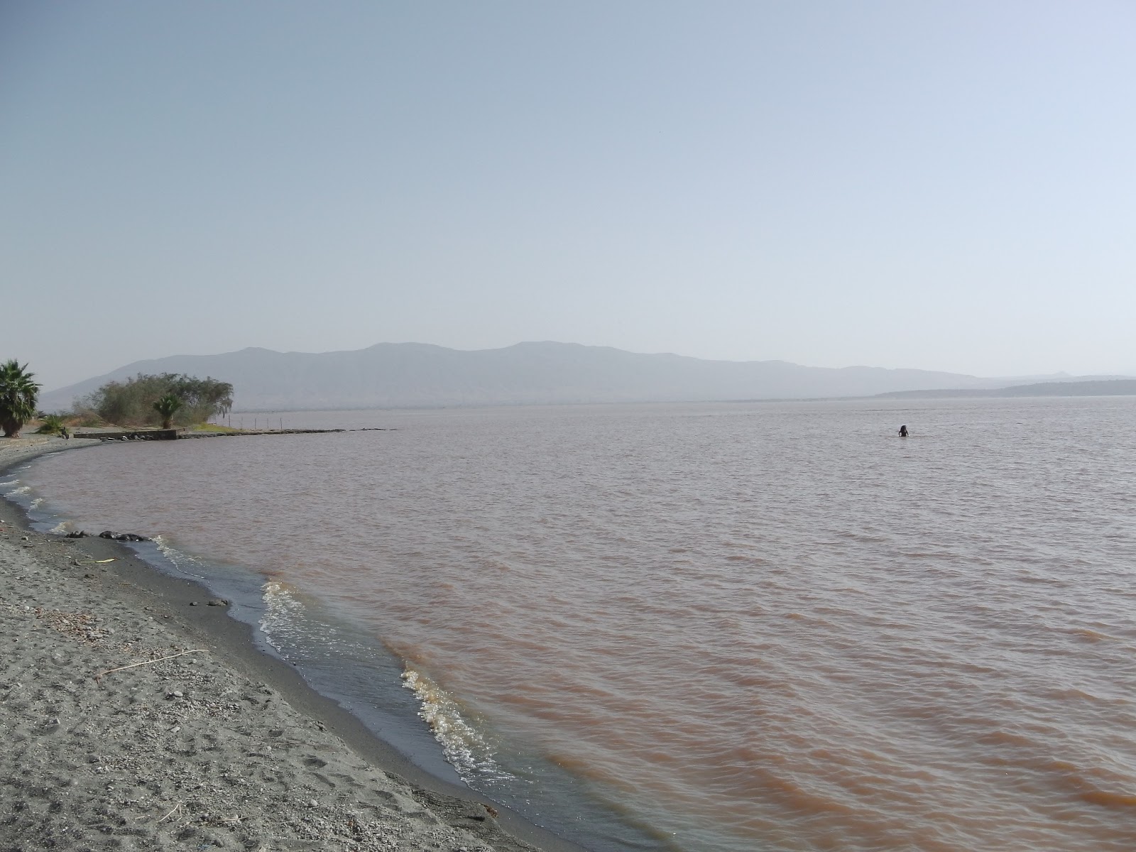 To Ethiopia and Back!: Lake Langano
