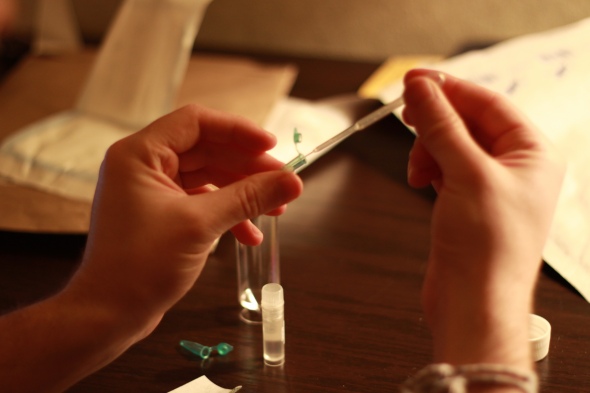 Parasitophilia: Helminthic Therapy