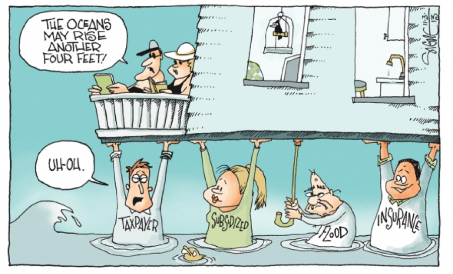 Flood Insurance Cartoon