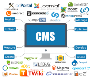 Macam-macam CMS ~ Novia Mufidah