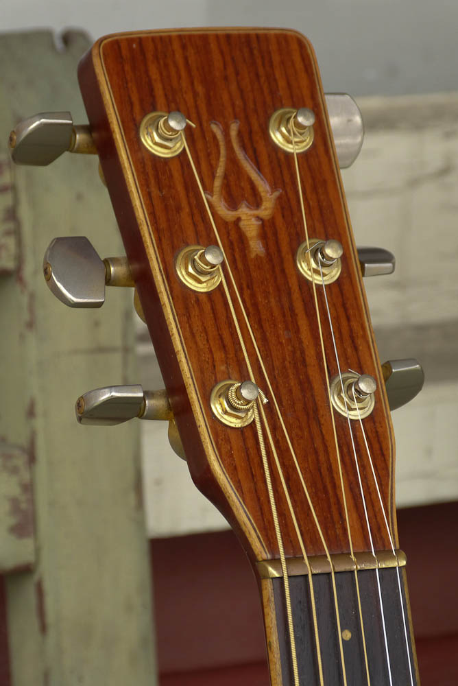 c.1980 Daion "The 80" Dreadnought Guitar