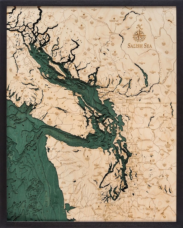 Carved Lake Art: Salish Sea: The Wonders of the Past