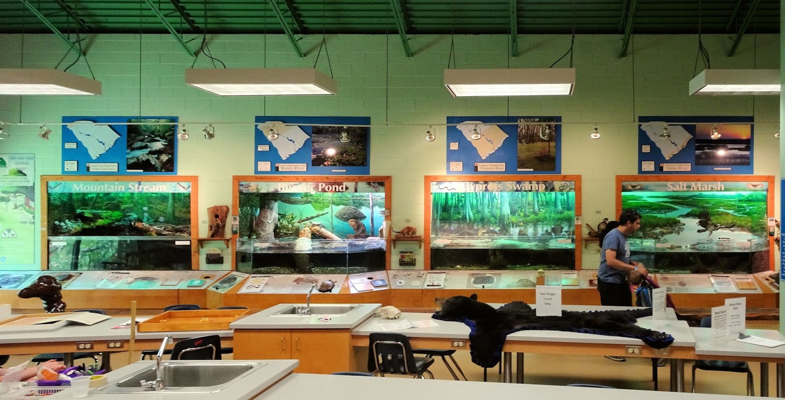 Femme au foyer: The Ecology Lab at RMSC