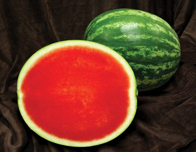 El cultivo de la sandia sin semilla | Educación Agricola