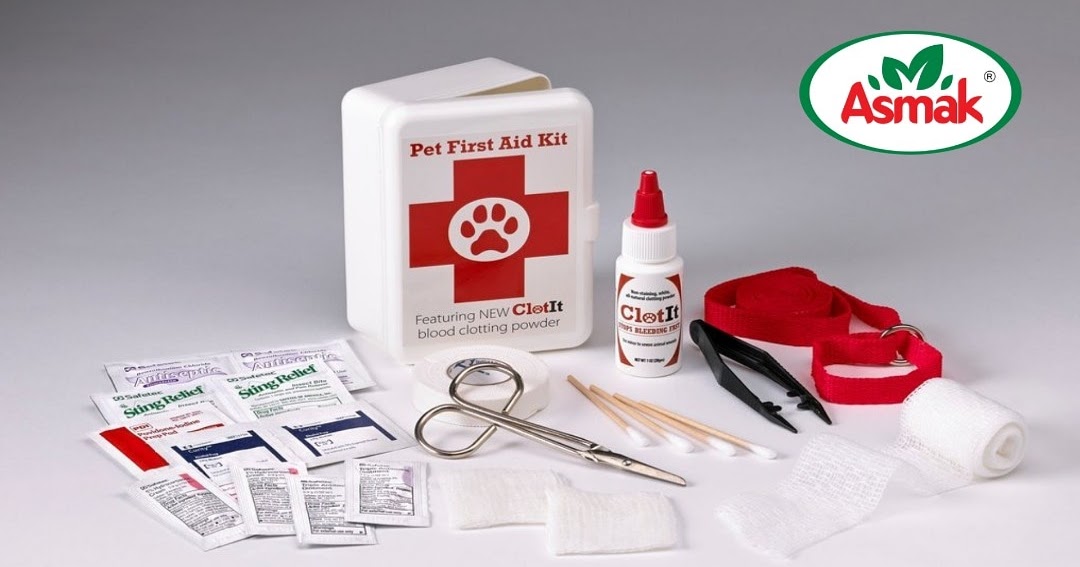 FIRST AID KIT : APA YANG PERLU ADA