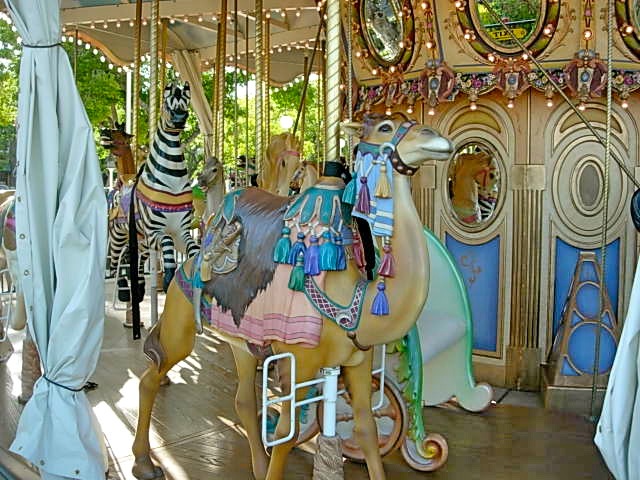 Medusa's Kitchen: Listening With The Brown Bear