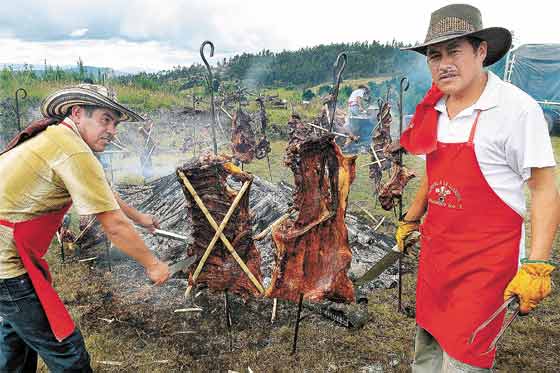 En el corazón de mi llano: La mamona
