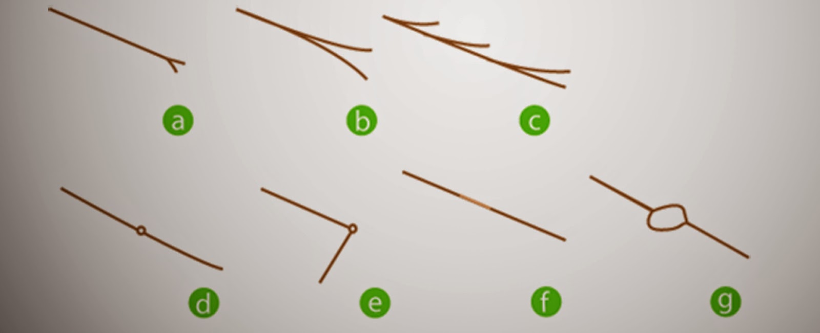Tips de belleza y cuidado capilar