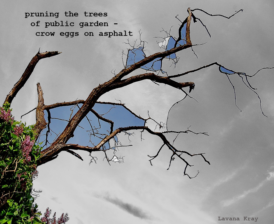 PREZENŢE ROMÂNEŞTI: HAIKU MASTERS - ORIGINAL PHOTO HAIKU - 06/2016 #03