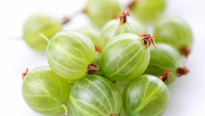 Antioxidants In Indian Gooseberry May Help Maintain Cardiovascular ...