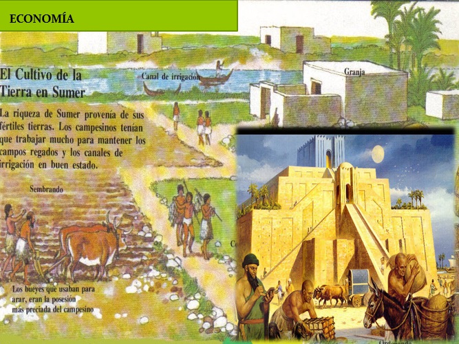 MI CLASE DE HISTORIA : Surge la civilización