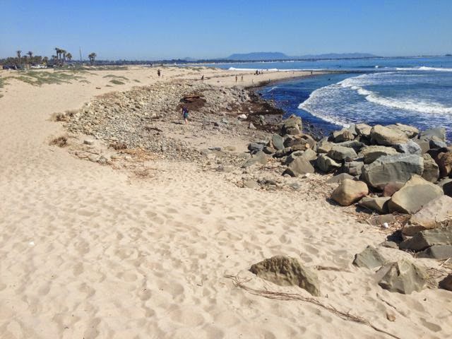 Ventura River Ecosystem: Surfers Point - cobble berm monitoring