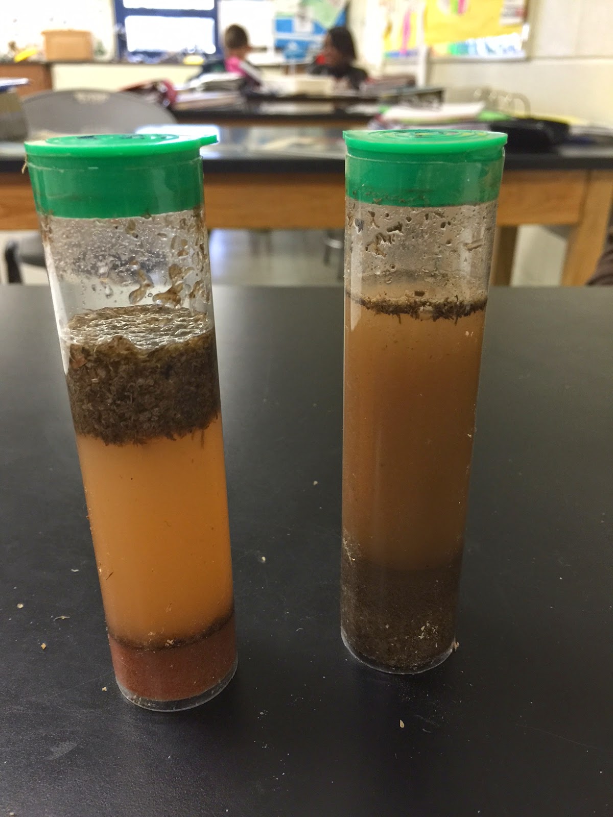 Mr. Forde - Life Science: Soil Columns