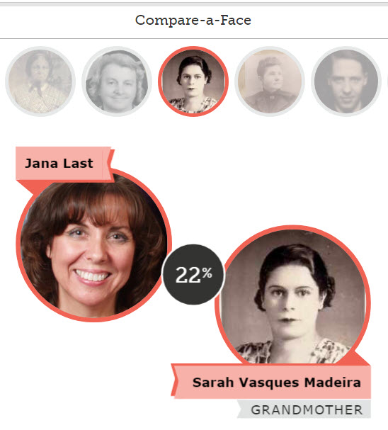 Jana's Genealogy and Family History Blog: Fun New Feature on ...
