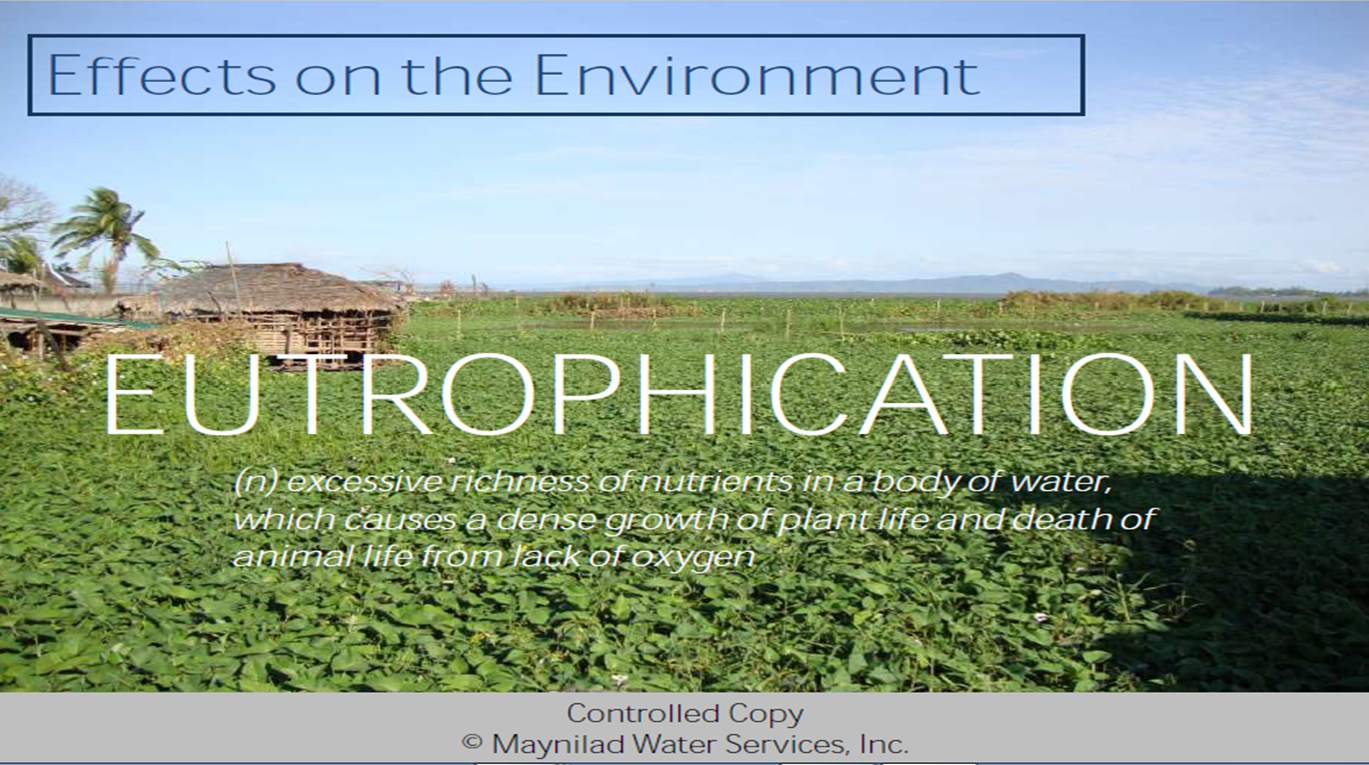 Unsullied Perspective: Maynilad Wastewater Management Service: A Pro ...