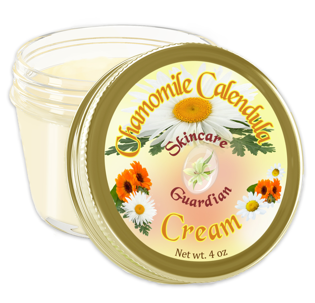 Anna's Essential OIl Blog