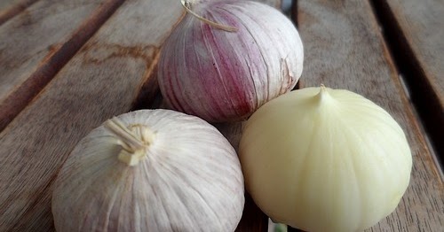 Sweet Home-Chefs: Solo Garlic (Single Clove Garlic)