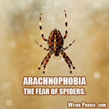 Collections: November 2013