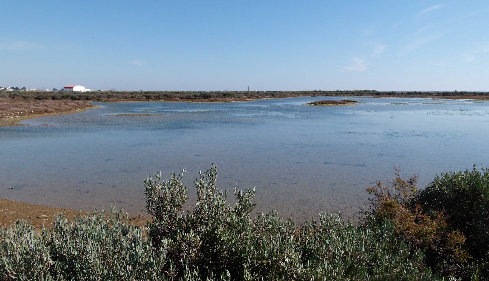 Viajar só?: Parque Natural da Ria Formosa