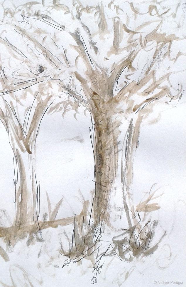 Andrew Perugia Artworks: Drawings: OCA Part 3: Drawing Trees I ...