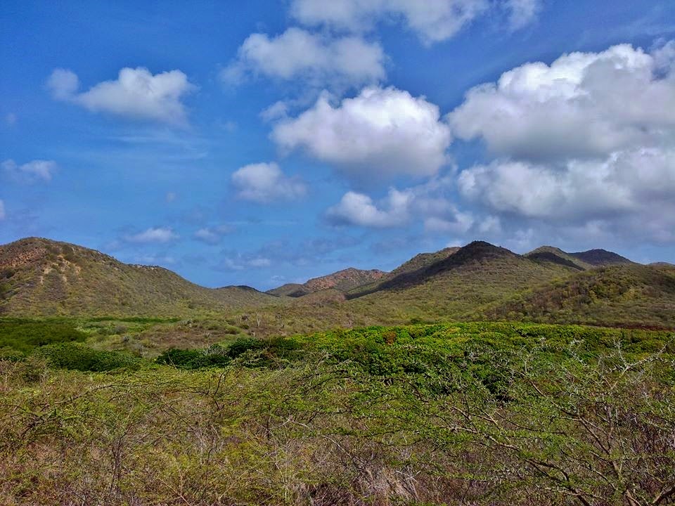 Suus & Co - Curaçao: 9 oktober 2013 Hofi Mango