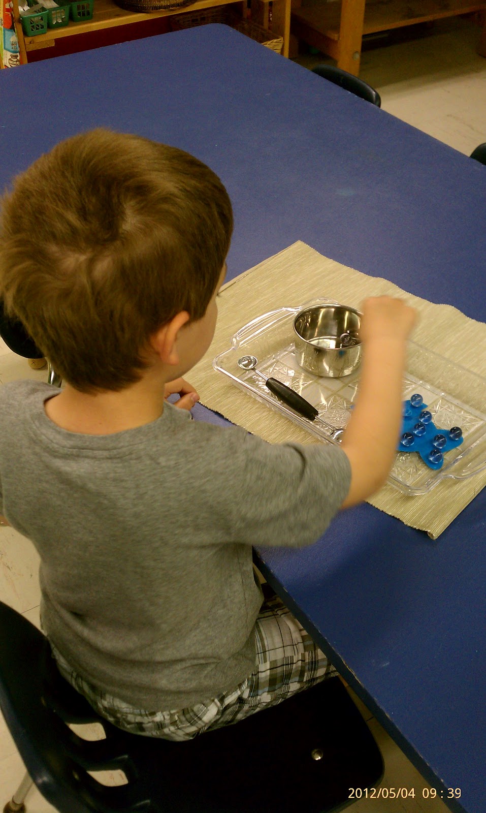 Lesson Plans to Pots and Pans: Even More... From seeds to plants