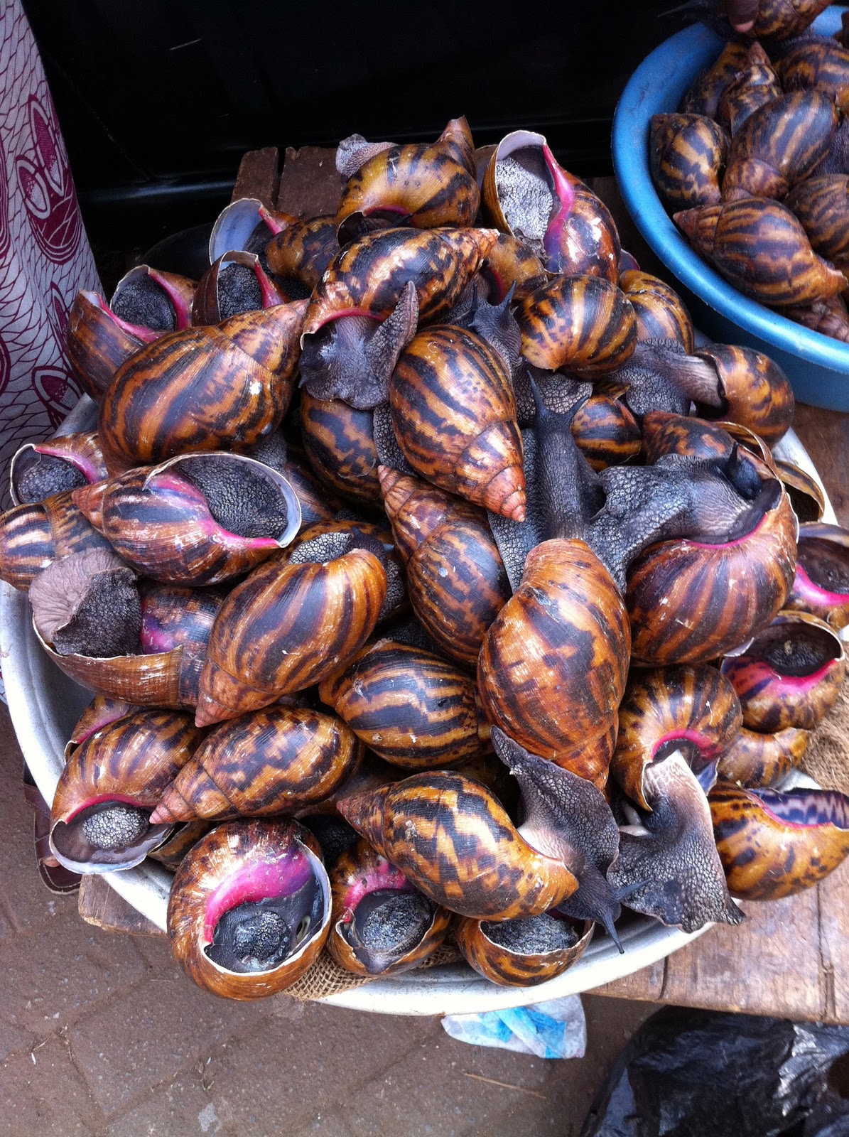 kono kono....... | JamiiForums