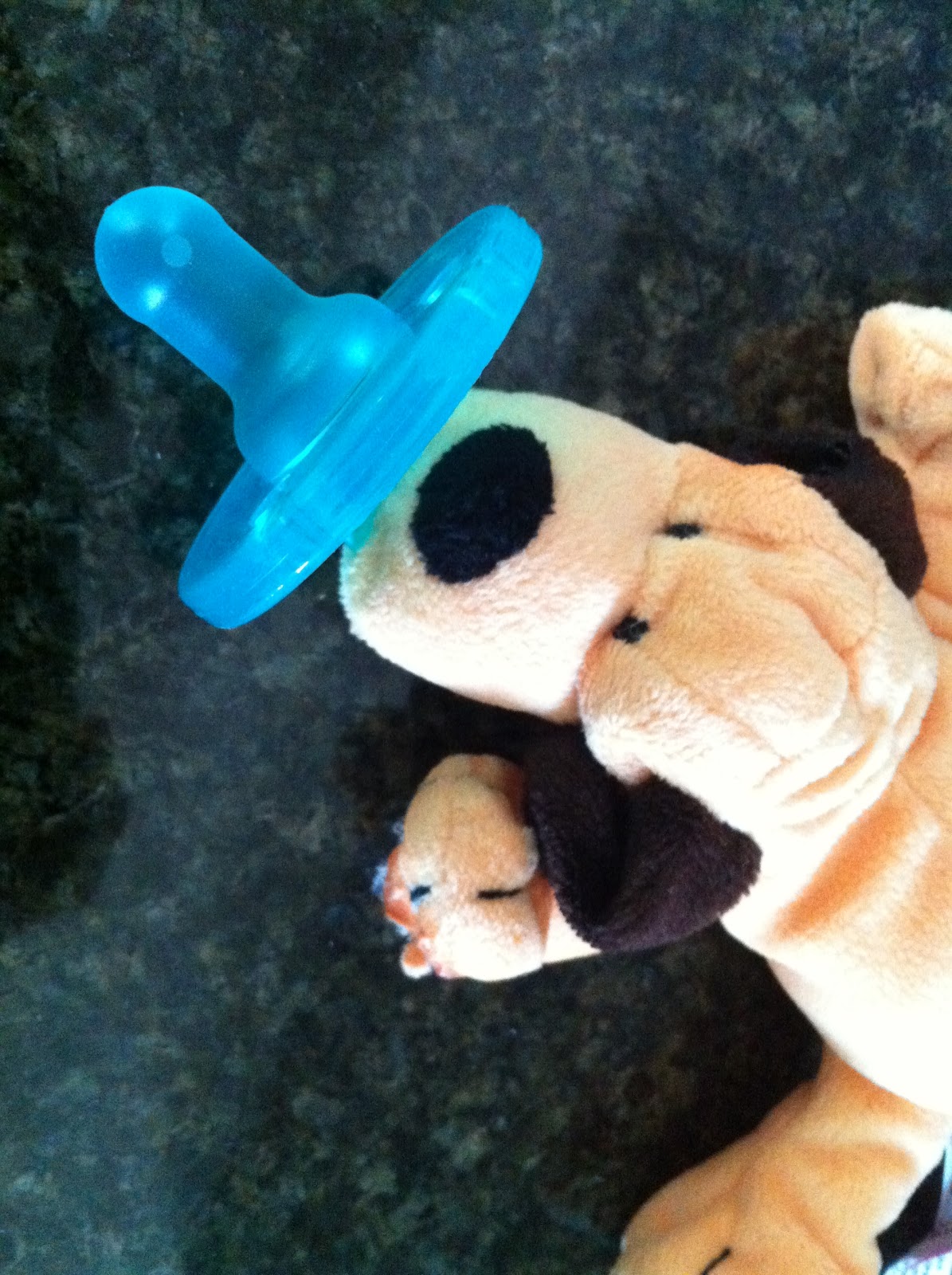 The Hill's Country: How NOT to clean a Wub-a-Nub