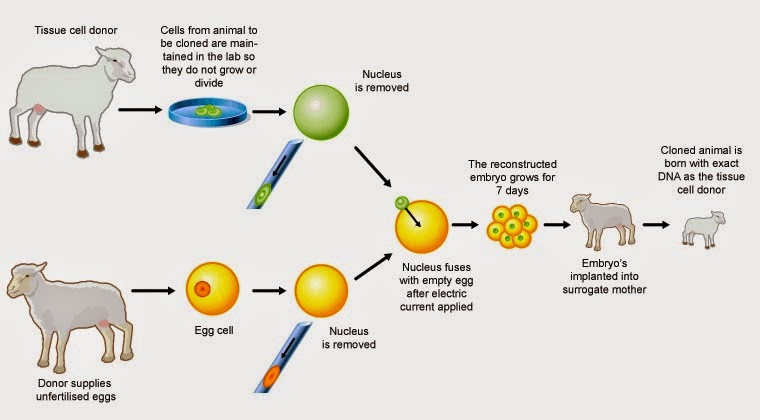 BU - Foundations - Fall 2014 - 8:00 am