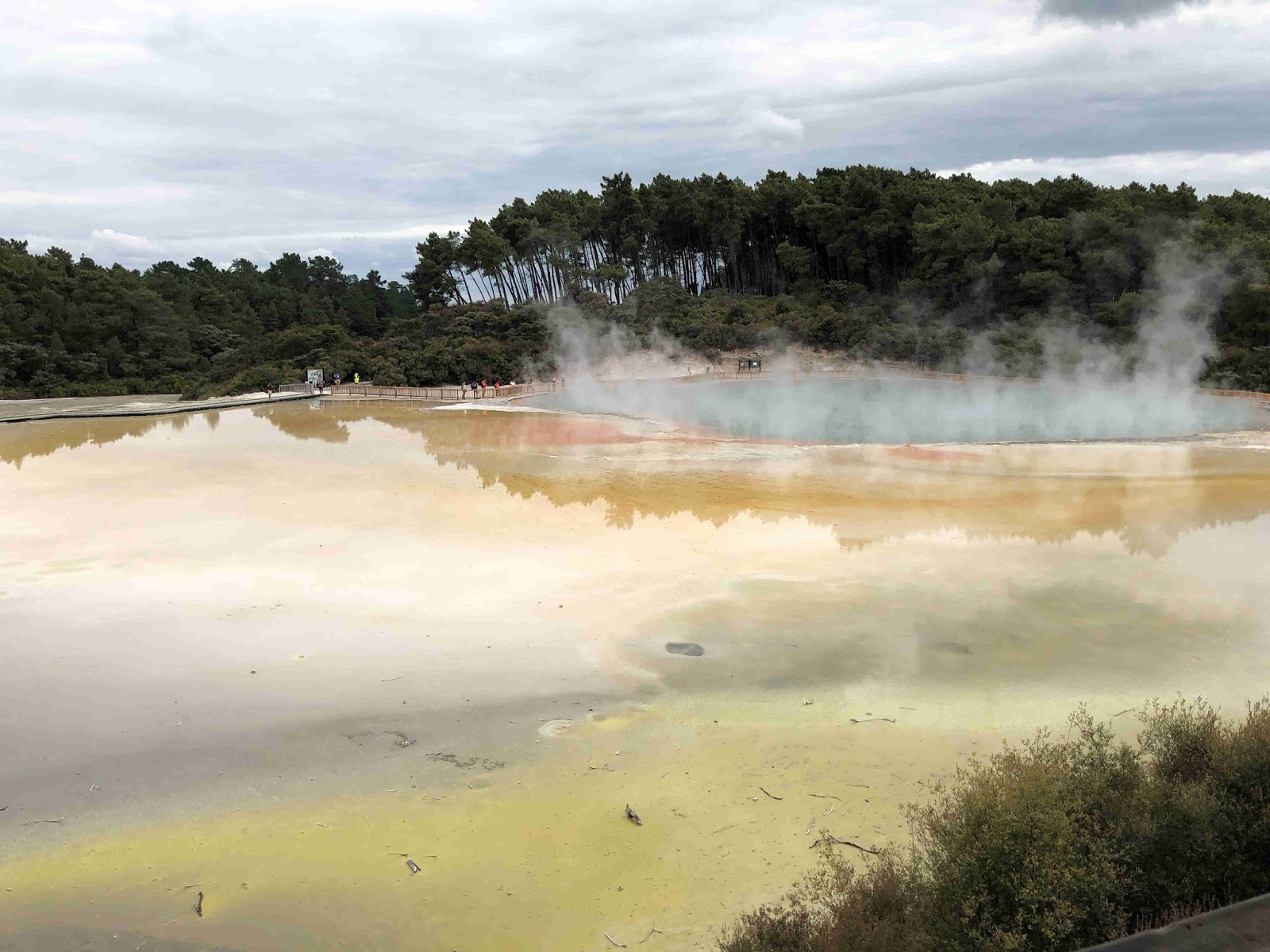 Ray and Traci's Great Adventure Blog: A Great Adventure Down Under