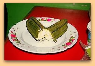 PLAAN : Pacae - Inga feuilleei