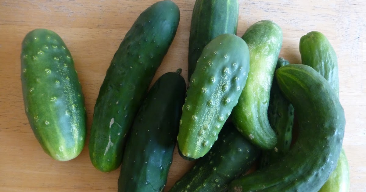 little*big*harvest: Sugar Pickles