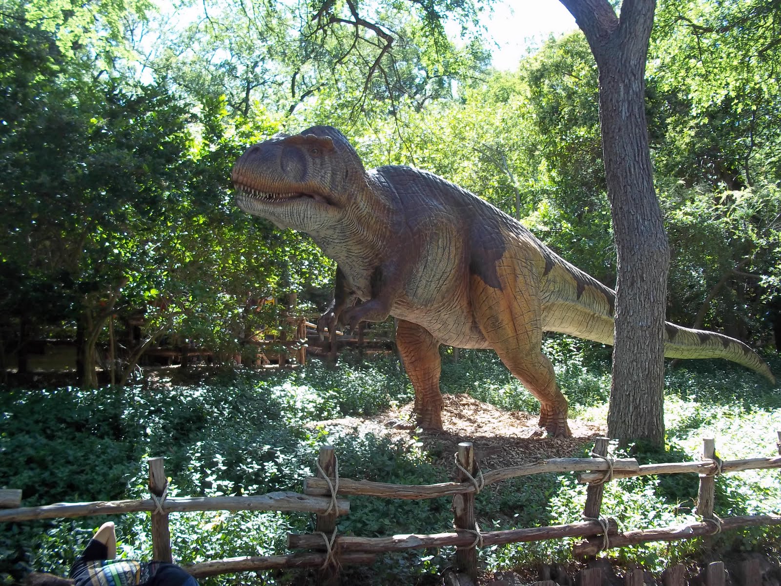 Burning Daylight: Dinosaurs Unleashed at the Fort Worth Zoo