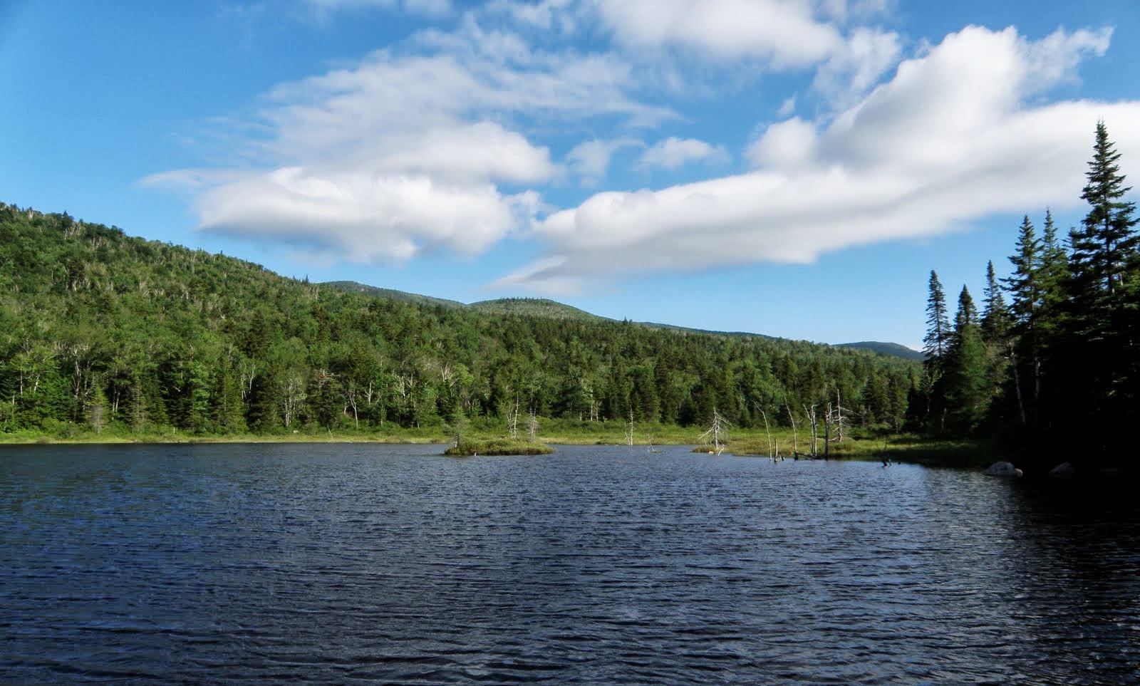 JustJoe Hiking: Shoal Pond Peak Attempt 7/5/2013