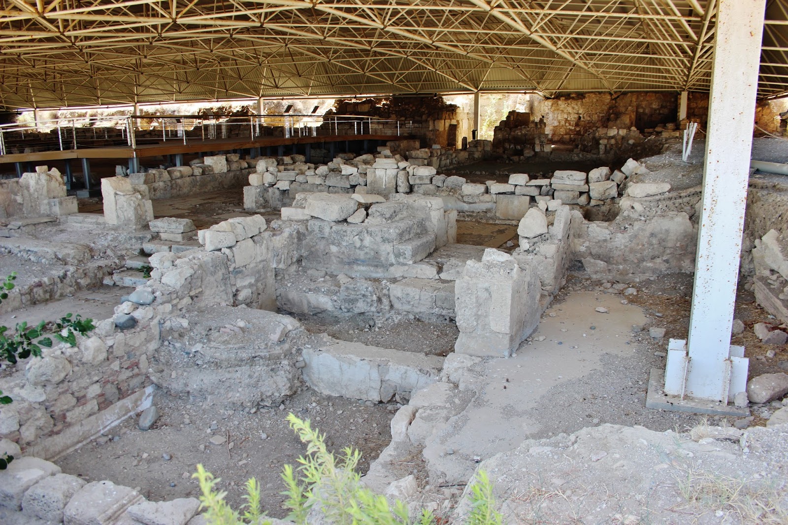 Biodiversity of Cyprus by NGO Protection of the Natural Heritage and ...